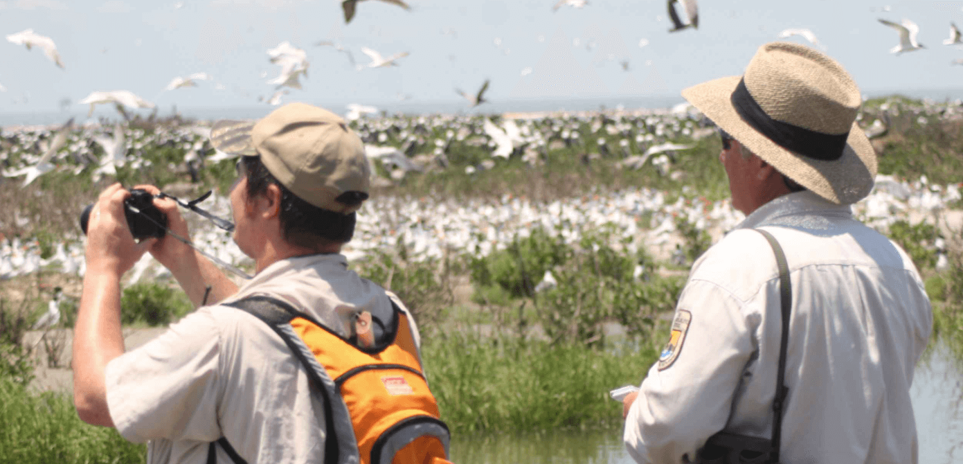 Bird Watching – Beginner’s Guide for Hobby, Health & Wellness - Diet ...