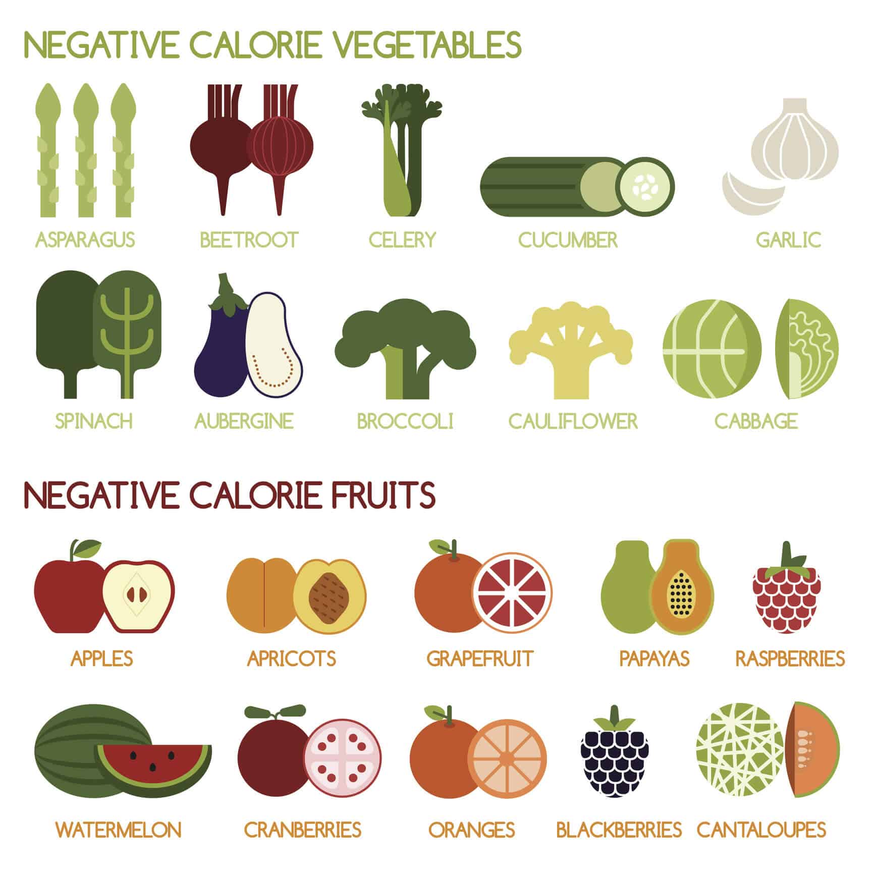 Negative Calorie Diet - 10 Things You Need to Know - Diet Supplement Guide