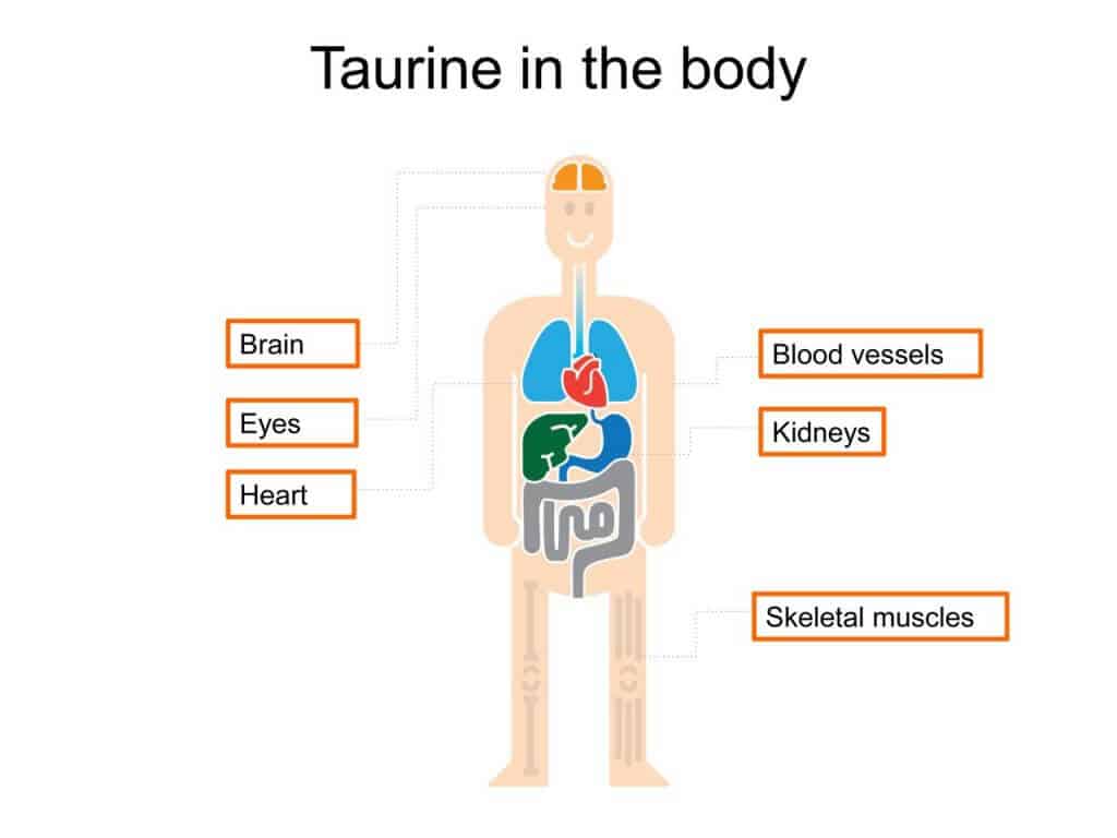Taurine – Benefits, Side Effects and Usage Are limited evidence and ...